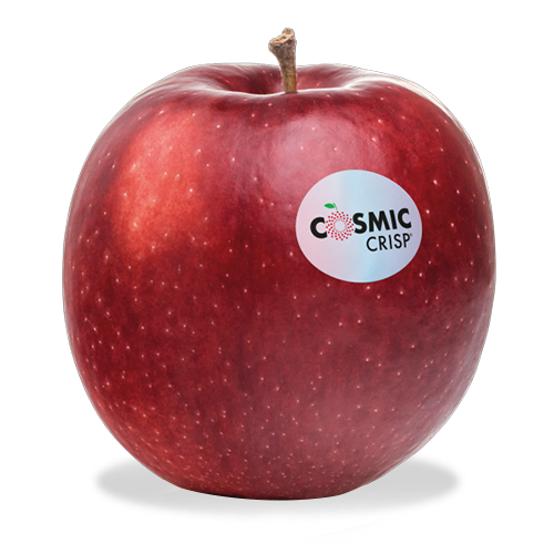 Apple Cosmic Crisp – Spruce Meadow Farms