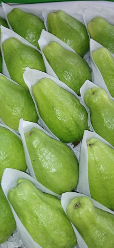 Guava (per pc) – Spruce Meadow Farms