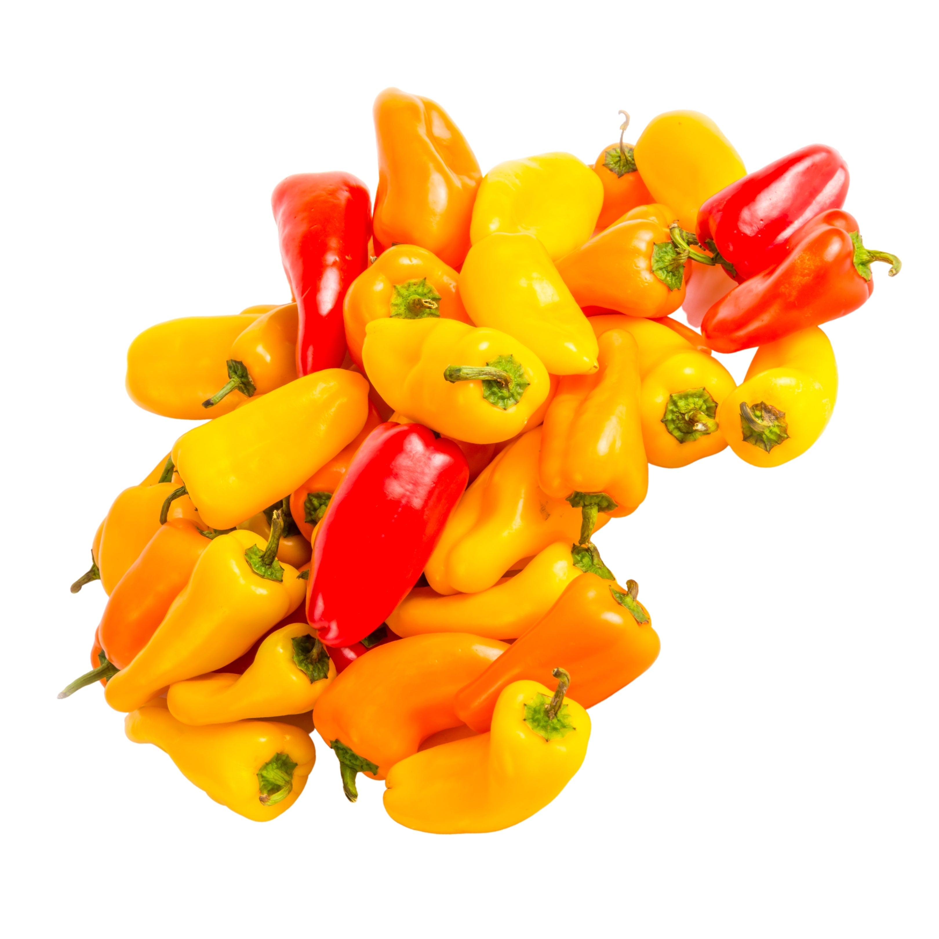 Mini Sweet Peppers Capsicum Mini Bell Red Seeds | The Seed Collection
