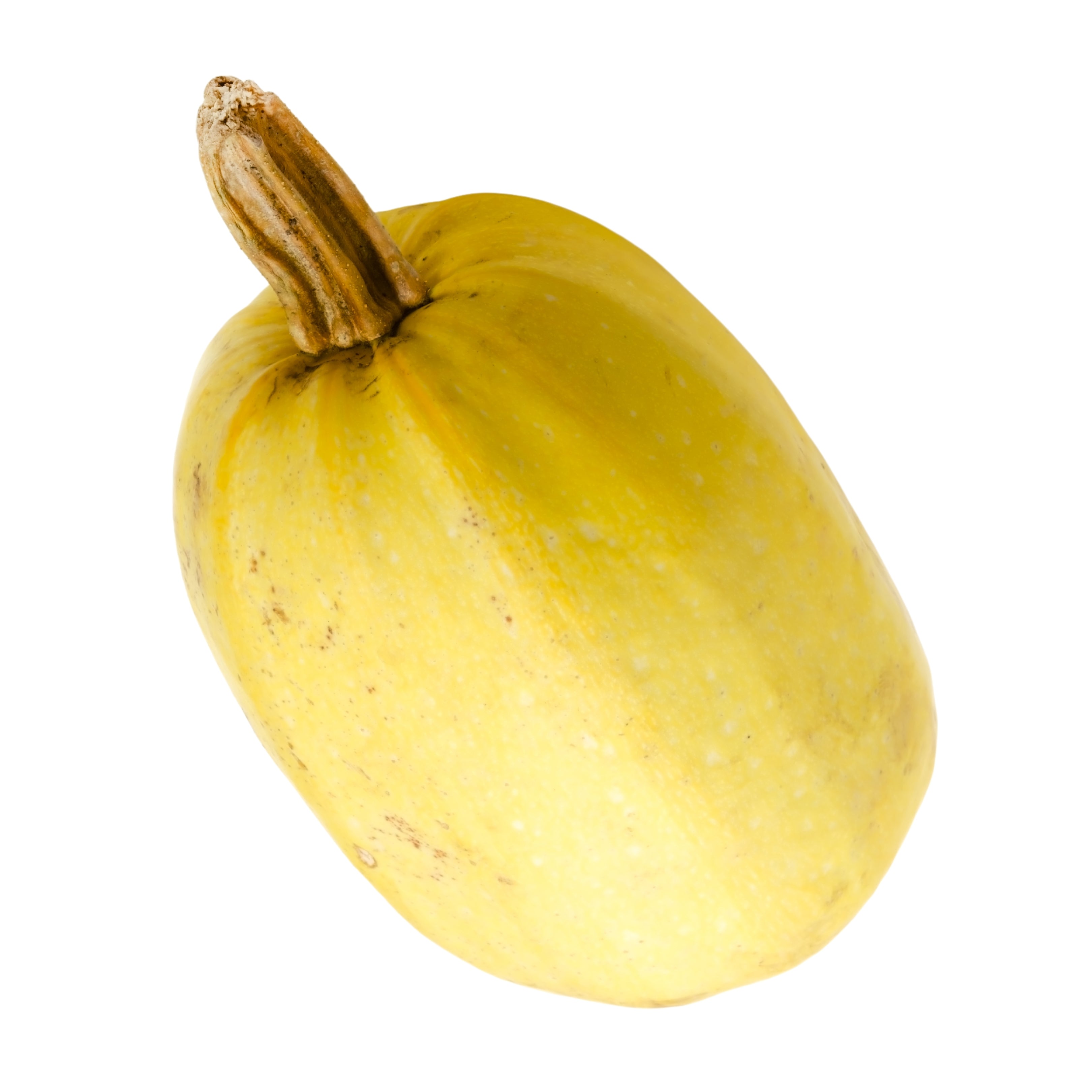 Shop Spaghetti Squash – Spruce Meadow Farms